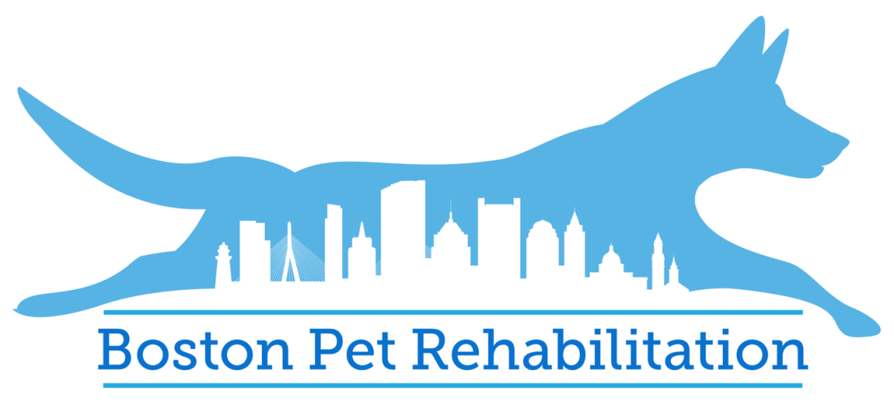 Northshore | Red Dog Pet Resort & Spa