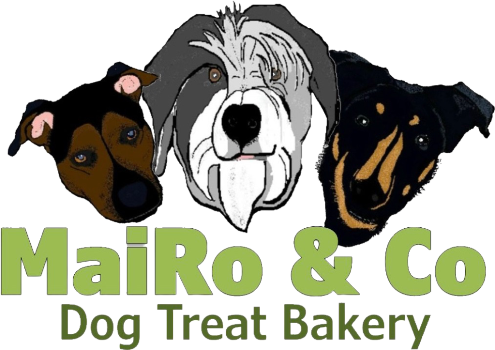 Cincinnati | Red Dog Pet Resort & Spa