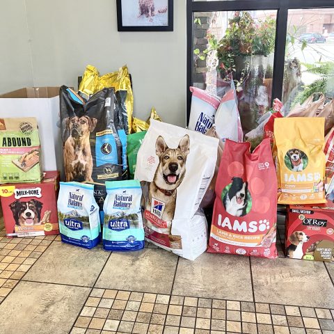 About Us | Red Dog Pet Resort & Spa