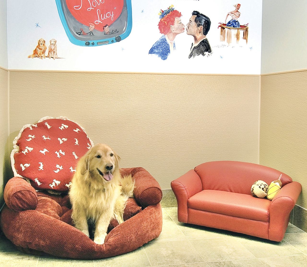 About Us | Red Dog Pet Resort & Spa
