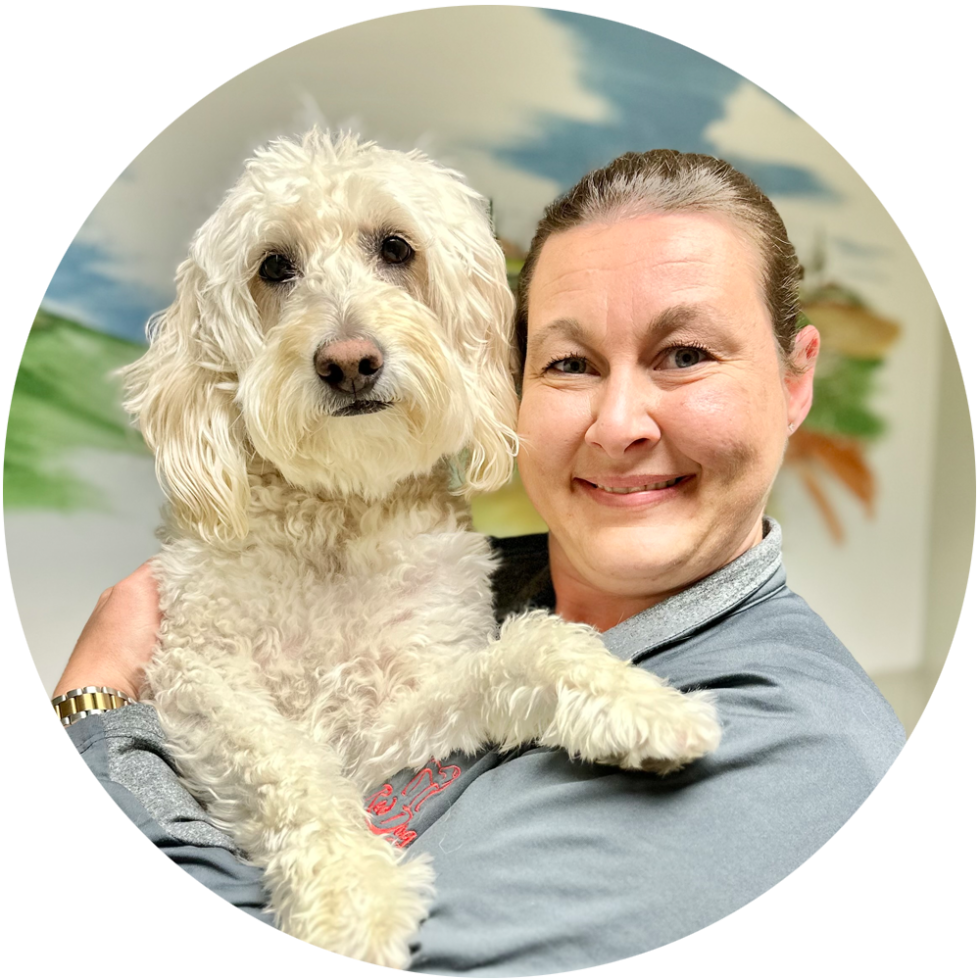 Red Dog Pet Resort & Spa | Your pet’s home away from home, where they ...