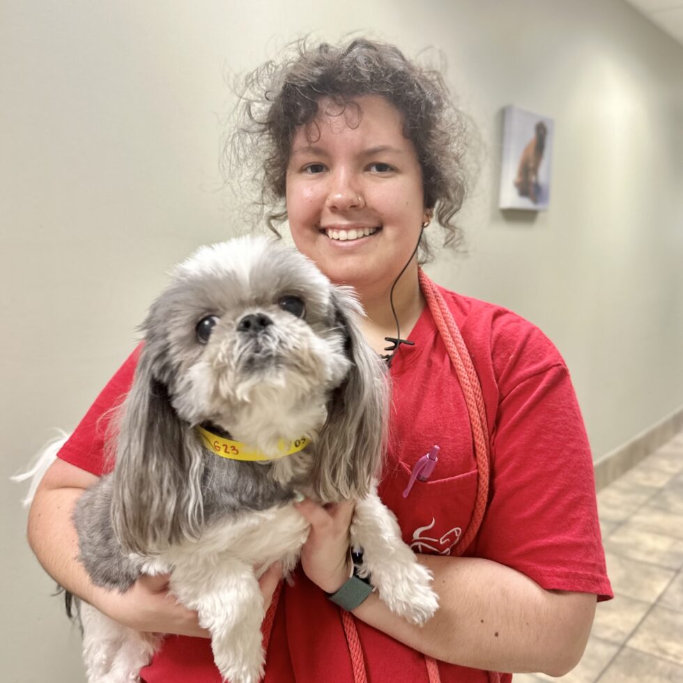 Jobs | Red Dog Pet Resort & Spa