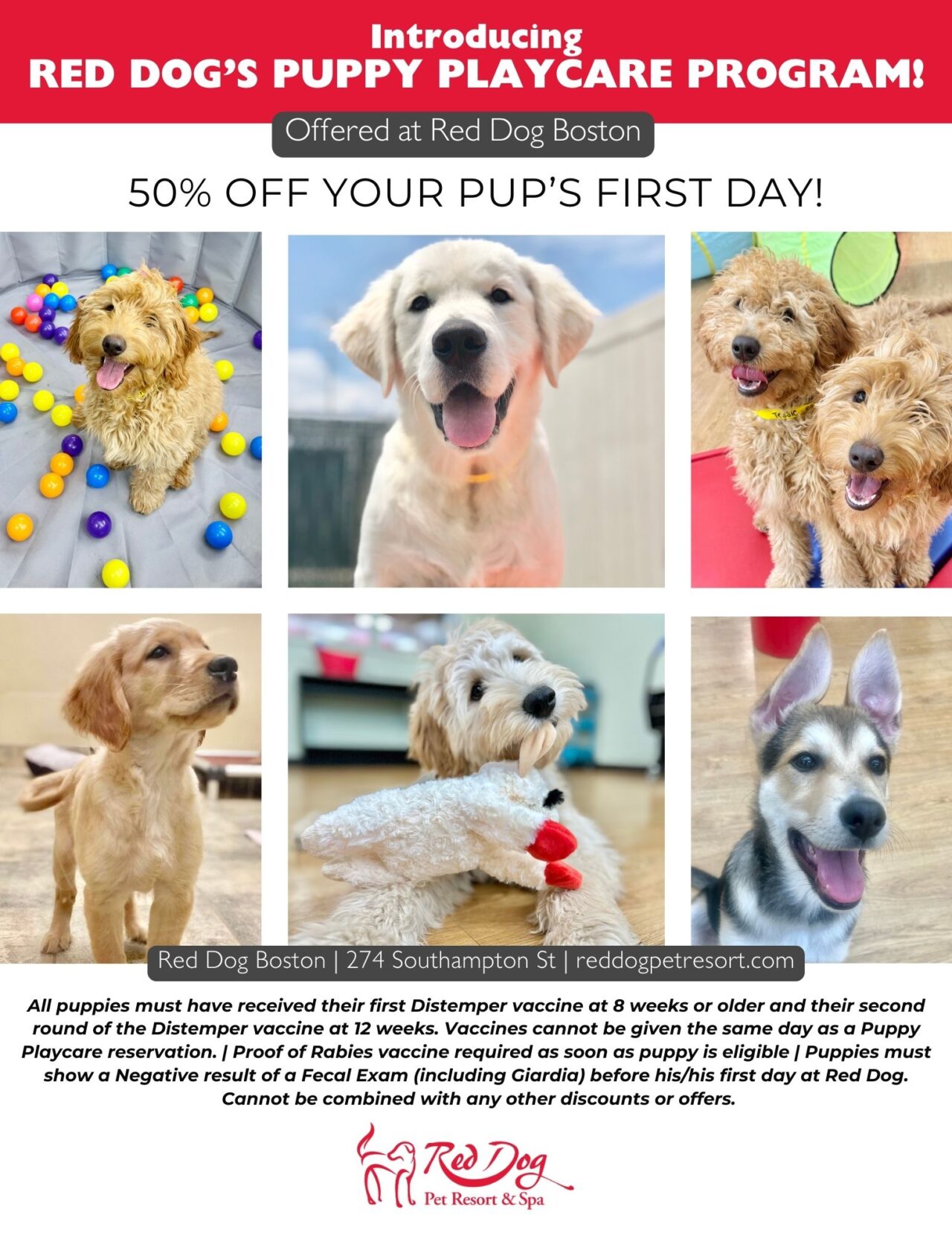 Offers | Red Dog Pet Resort & Spa