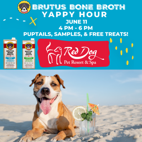 Brutus Broth Pop-Up Yappy Hour (Cincinnati) | Red Dog Pet Resort & Spa
